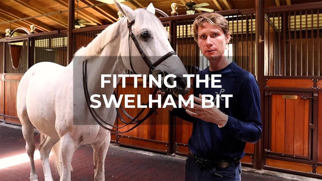 Fitting the Swelham Bit: A Detailed Guide for Perfect Adjustment ...